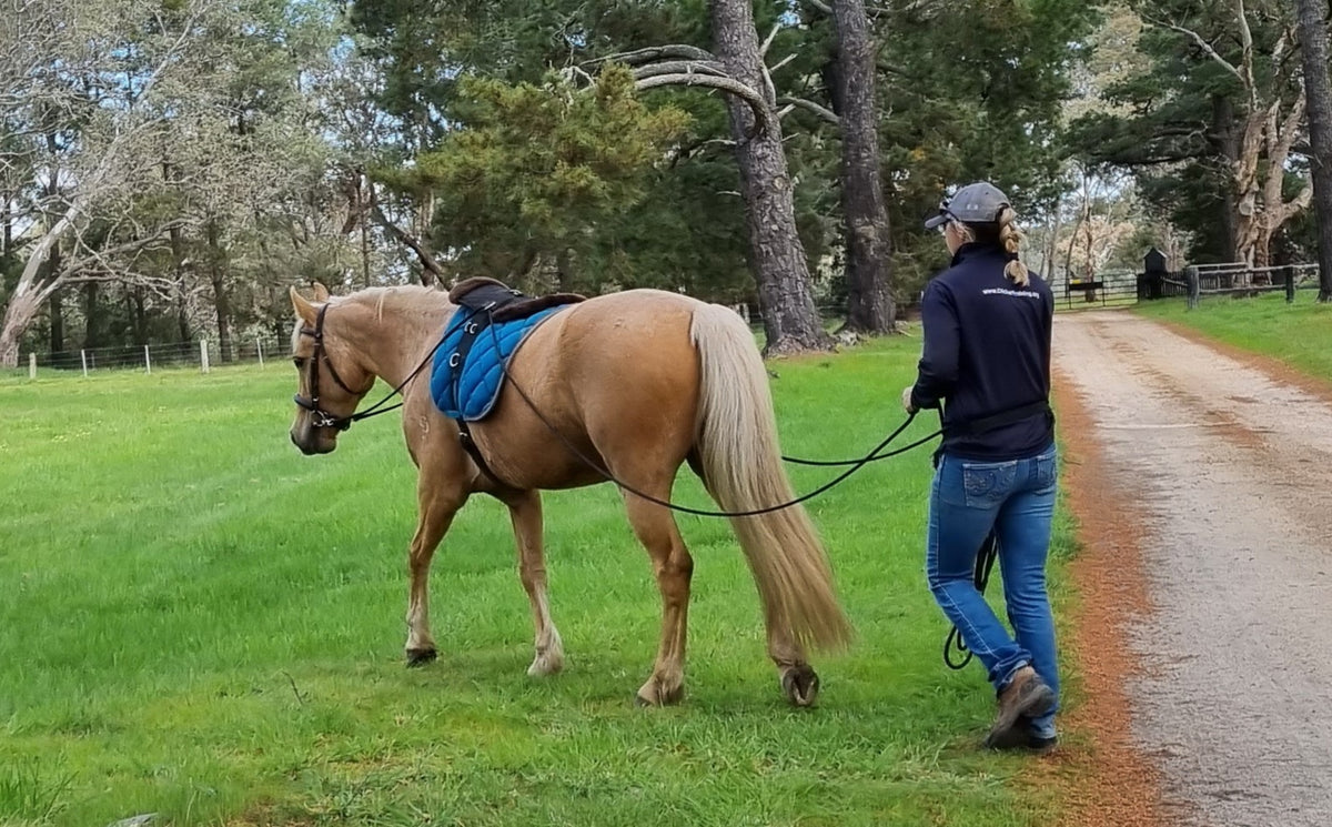 Long reins – Click With Horses